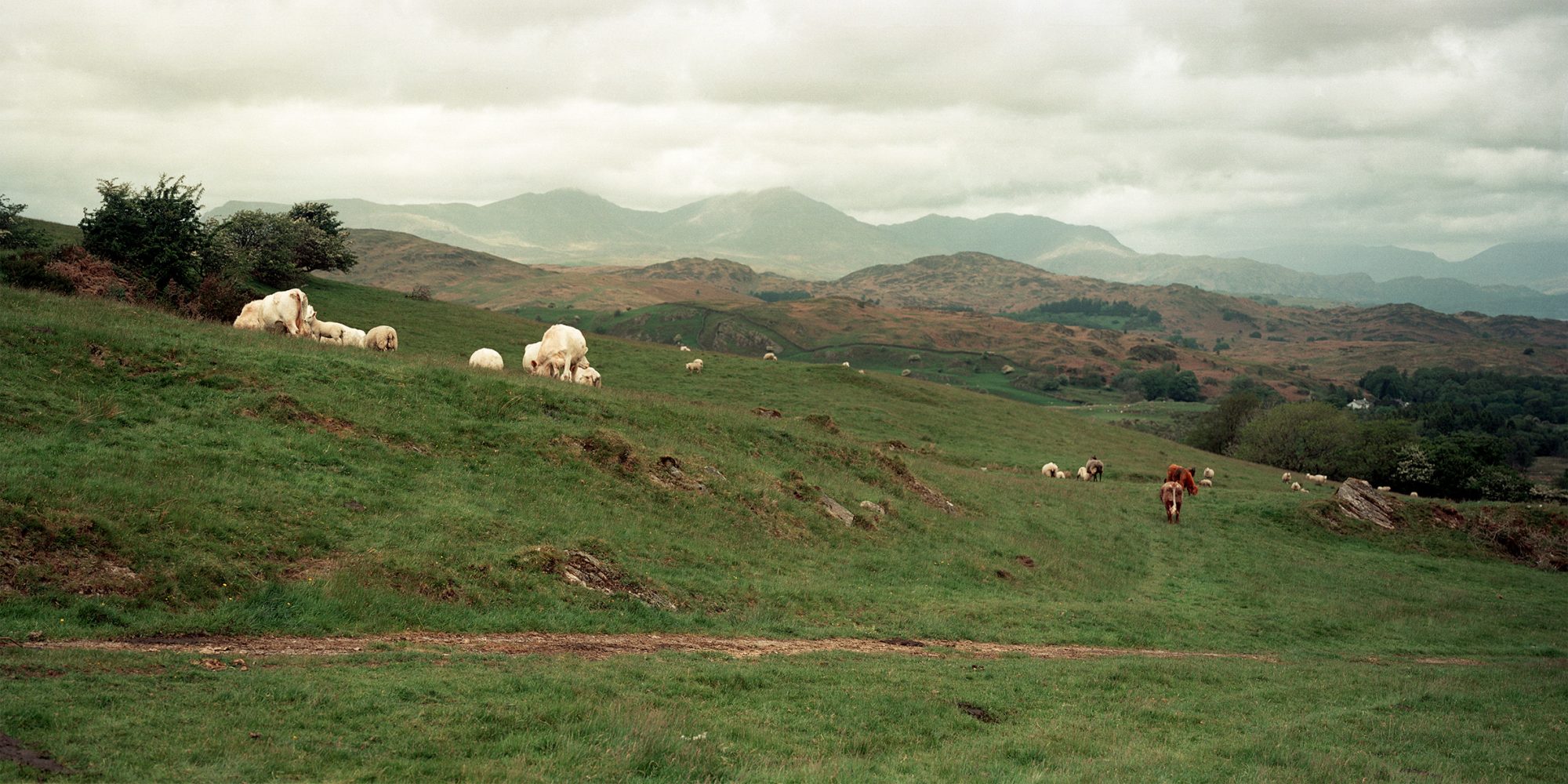 Wayfaring Stranger — The Wapping Project
